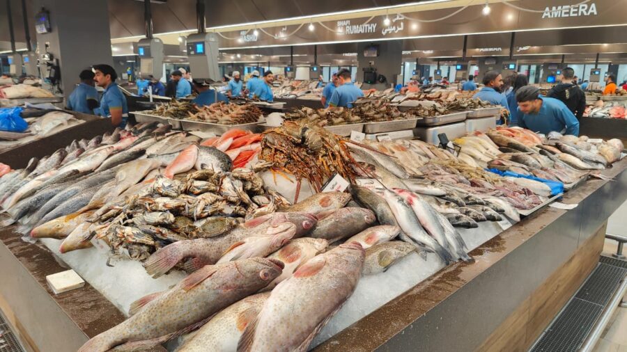 Treasures of the Sea at Mina Fish Market, Abudhabi - Indian Food Freak